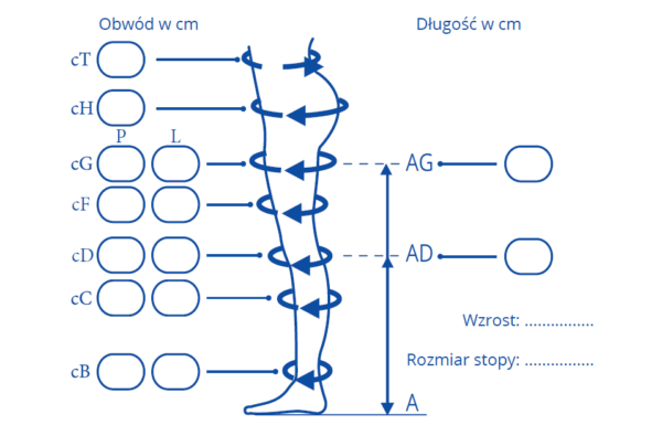 Tabela rozmiarowa - praktyczna pomoc w wyborze produktu | Venoflex